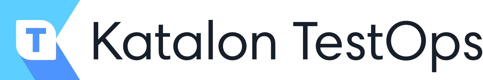 A Beginner's Guide to Test Execution and Report